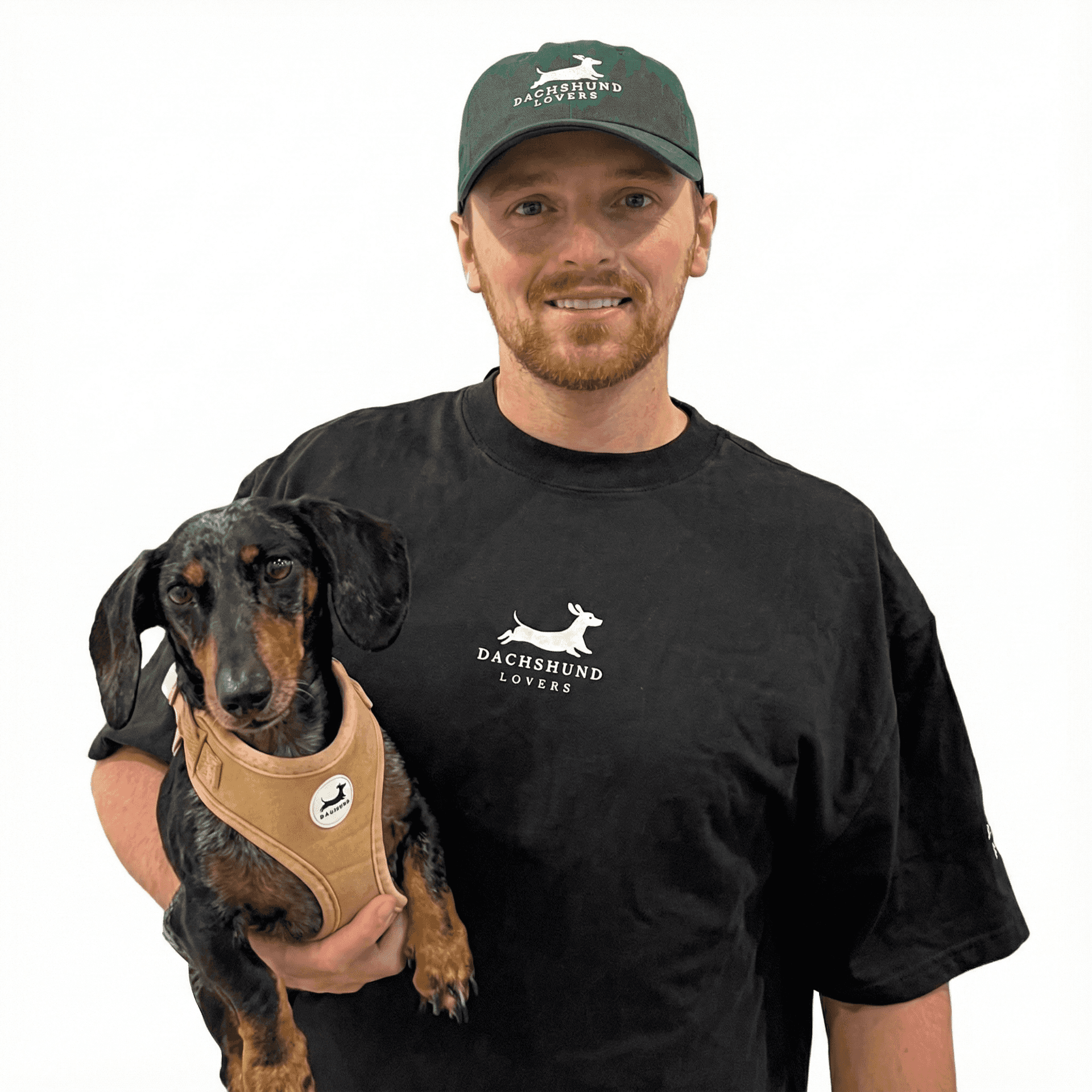 Blue Dachshund – Traits, Care & Rare Coat Explained