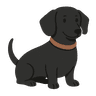 Meet the Dachsador: The Loyal Dog Mix Most People Overlook
