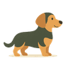 Meet the Dachsador: The Loyal Dog Mix Most People Overlook